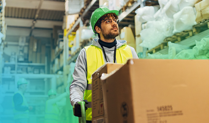 Cavallo Unveils New SalesPad Inventory Manager Capabilities for ...